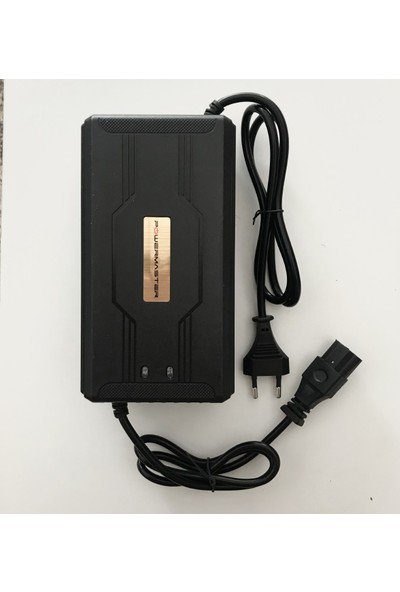 BVS 72V 20A Elektrikli Bisiklet Şarj Adaptörü Cihazı 72 Volt 20 Amper BVS 72V 20A Elektrikli Bisiklet Şarj Adaptörü Cihazı 72 Volt 20 Amper