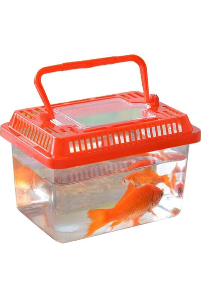 Betta Kabı 18X11X13CM - Mika Kaplumbağa Balık Taşıma Kabı Betta Kabı 18X11X13CM - Mika Kaplumbağa Balık Taşıma Kabı