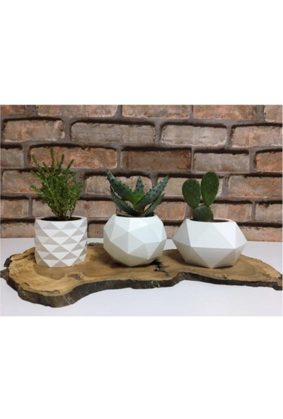 CM&HM Aynalı Home 3'lü Beyaz Renk Beton Sukulent ve Kaktüs Saksı Seti CM&HM Aynalı Home 3'lü Beyaz Renk Beton Sukulent ve Kaktüs Saksı Seti