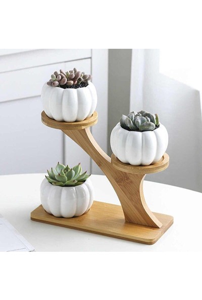 CM&HM Aynalı Home 3'lü Beyaz Kabak Sukulent Saksı