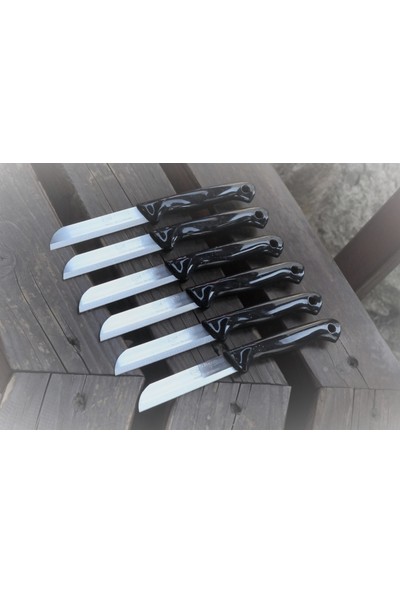 Solingen Meyve Sebze Bıçağı 12 Adet Simli Desen Sapı Delikli (1.kalite,tırtıklı) Solingen Meyve Sebze Bıçağı 12 Adet Simli Desen Sapı Delikli (1.kalite,tırtıklı)