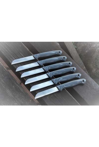 Solingen Meyve Sebze Bıçağı 12 Adet Simli Desen Sapı Delikli (1.kalite,tırtıklı) Solingen Meyve Sebze Bıçağı 12 Adet Simli Desen Sapı Delikli (1.kalite,tırtıklı)