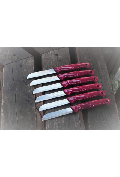 Solingen Meyve Sebze Bıçağı 12 Adet Simli Desen Sapı Delikli (1.kalite,tırtıklı) Solingen Meyve Sebze Bıçağı 12 Adet Simli Desen Sapı Delikli (1.kalite,tırtıklı)