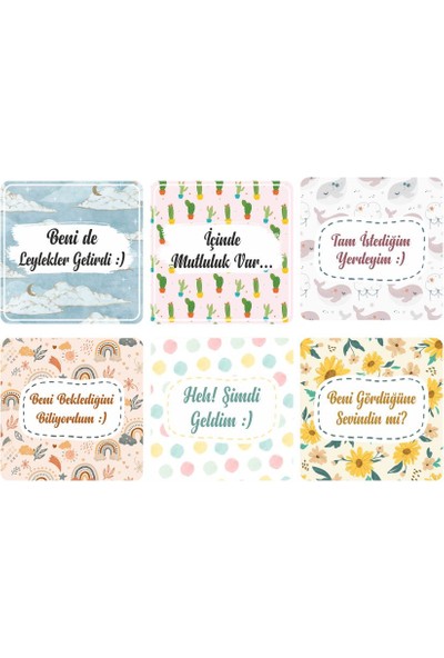 Tatlı Kargo Notları Sticker 8 cm 60 Adet