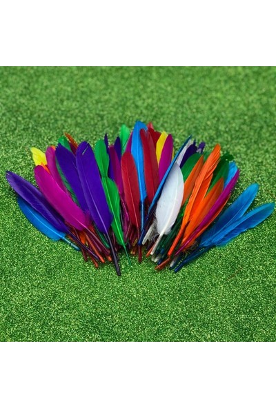 Bidolu Kuş Tüyü Renkli 100 Adet Bidolu Kuş Tüyü Renkli 100 Adet