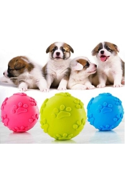 Bernam Köpek Isırma Topu Pati Desenli Küçük Bernam Köpek Isırma Topu Pati Desenli Küçük
