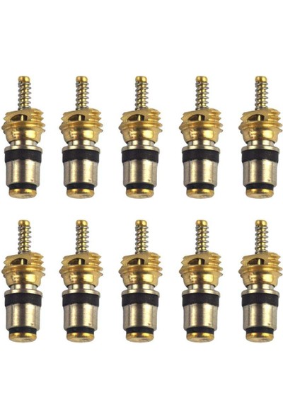 10 Adet A / C Volvo Citroen Için Yüksek Basınçlı Vana Kök Çekirgeler