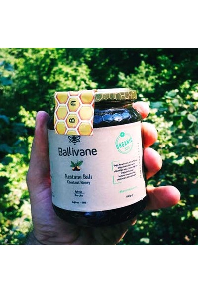 Ballivane Kestane Balı (Chestnut Honey) 500 Gr. Ballivane Kestane Balı (Chestnut Honey) 500 Gr.