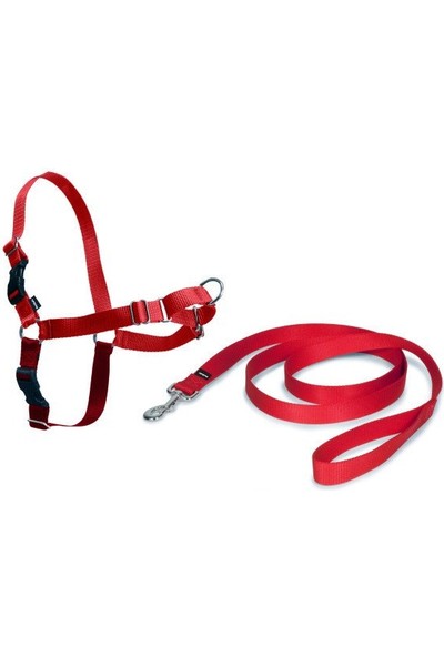 Easy Walk Harness Köpek Göğüs Tasması Small Easy Walk Harness Köpek Göğüs Tasması Small
