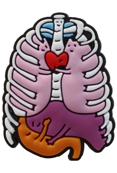 Sağlık Temalı Crocs Terlik Süsleri K18 Sağlık Temalı Crocs Terlik Süsleri K18