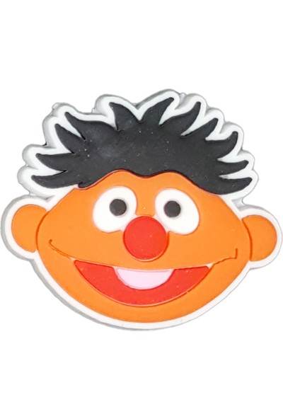 Susam Sokağı Crocs Terlik Süsleri M20