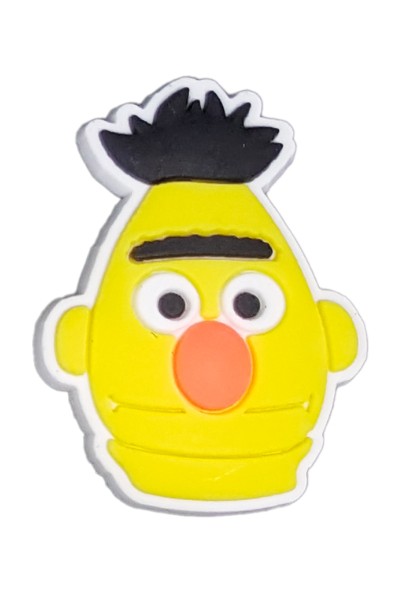 Susam Sokağı Crocs Terlik Süsleri M21