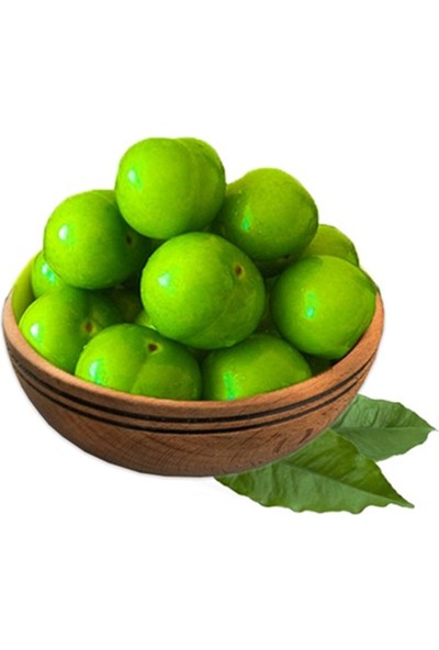 Sebze Meyve Dünyası Yeşil Erik 50 gr