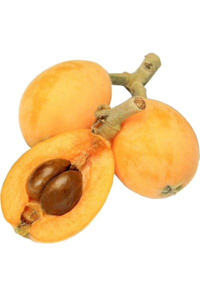 Sebze Meyve Dünyası Malta Erik 500 gr