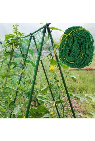 Komodo Salatalık Sebzetırmanma ve Destek Ağı 10 Metre
