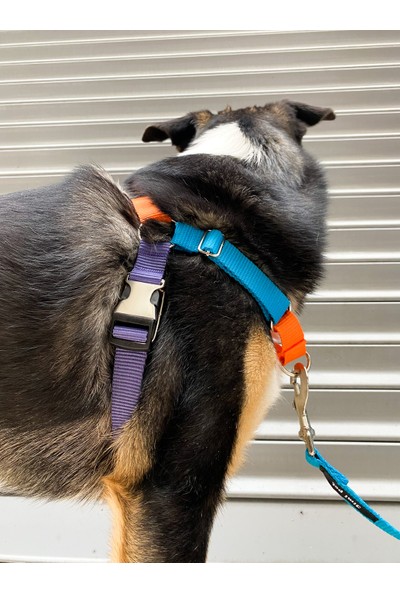 Jimi Pet Juno Easy Walk Önden Çekmeli Göğüs Tasması L Jimi Pet Juno Easy Walk Önden Çekmeli Göğüs Tasması L