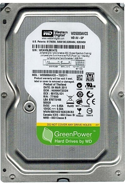 WD Güvenlik Disk 500 GB HDD