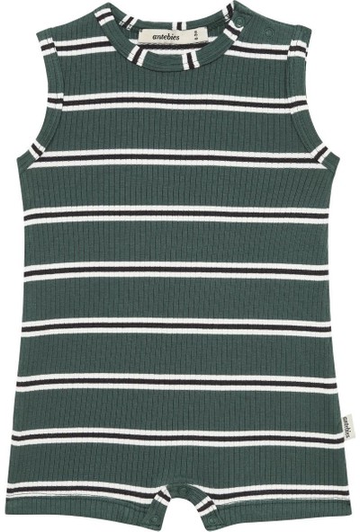 Antebies Galaksi Çizgili Kolsuz Barbatöz