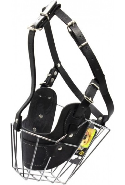 Doglife 203233-DOGLIFE Deri Metal Korumalı Köpek Ağızlığı L