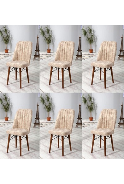 Cassano 1.sınıf Kare Gold Sandalye 6 Adet Cassano 1.sınıf Kare Gold Sandalye 6 Adet