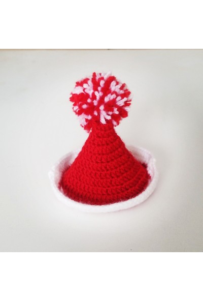 Kedi ve Küçük Köpek Irkları Için Yılbaşı Şapkası