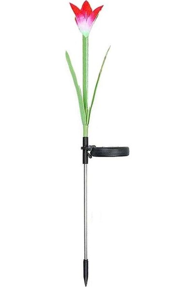 Solar Bahçe Lambası Zambak, Dekoratif Bahçe Aydınlatma