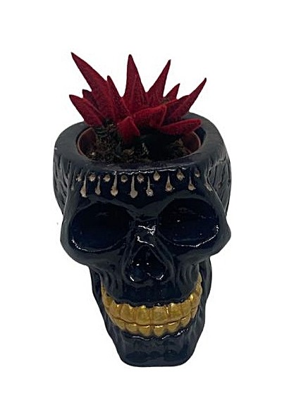 Bursa Çiçek Al Hovartiye1024