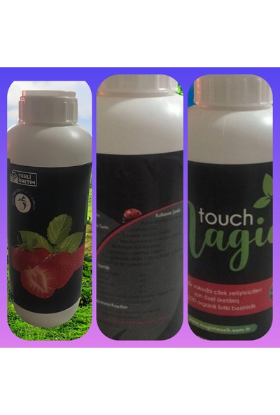 Çilek Park Çileğe Gübre