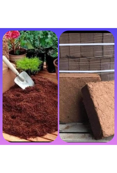 Çilek Park Kokopit ( 10 Lt )