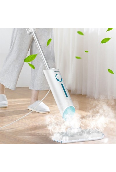 Yüksek Sıcaklık Buharlı Paspas Yüksek Sıcaklık Buharlı Paspas