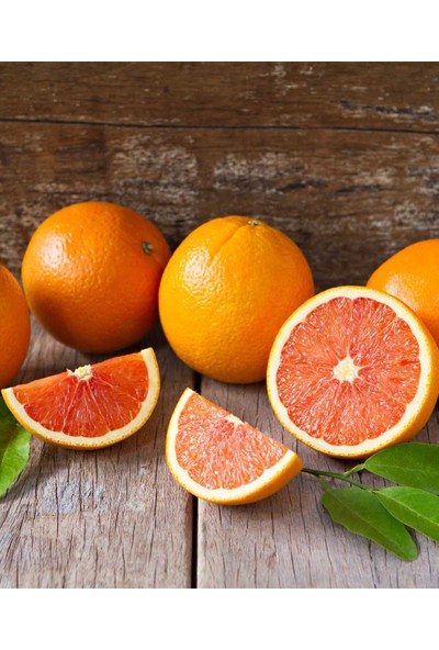 Gloria Fidancılık Tüplü Aşılı Cara Cara Portakal Fidanı 2 Yaş(110-130 Cm)