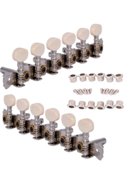 Manuel Raymond Burgu CTS12