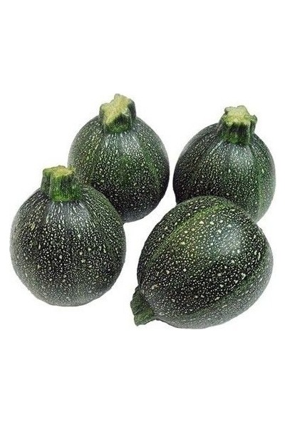 Nadir Yerli Topak Dolmalık Kabak Tohumu 7 Adet Tohum Nadir Yerli Topak Dolmalık Kabak Tohumu 7 Adet Tohum