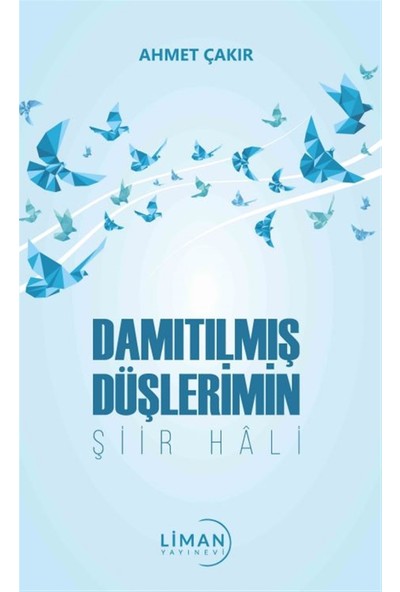 Damıtılmış Düşlerimin Şiir Hali - Ahmet Çakır