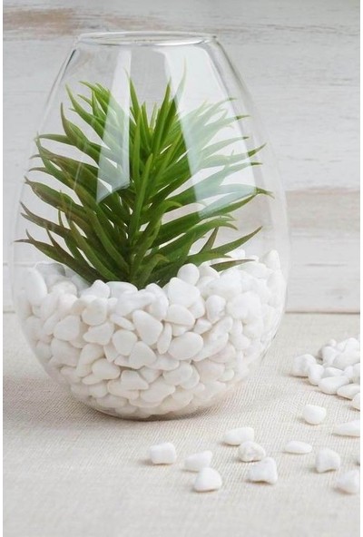 Hb Botanic 1-2 cm Beyaz Dolomit Akvaryum Taşı, Dekoratif Teraryum Taşı, %100 Doğal Hb Botanic 1-2 cm Beyaz Dolomit Akvaryum Taşı, Dekoratif Teraryum Taşı, %100 Doğal