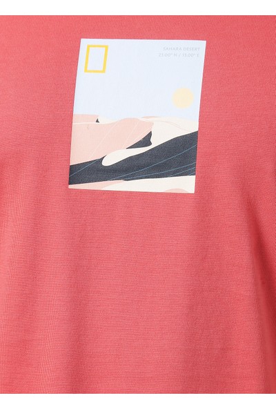 National Geographic T-S, 2xl, Gül Kurusu