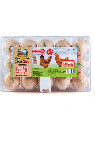 Yeşil Foça Krem Yumurta 15'li