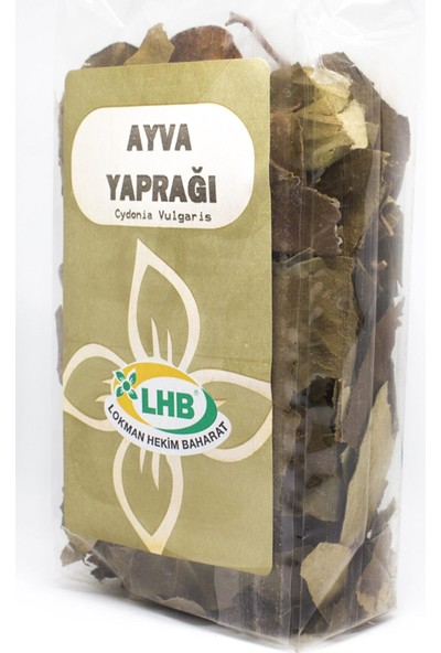 LHB Ayva Yaprağı LHB Ayva Yaprağı