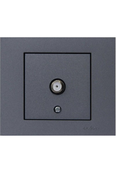 Ovivo Füme Tv Prizi F Tipi Sonlu