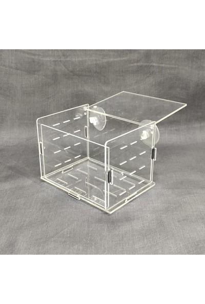 Emay Center Pleksiglas Akvaryum Için Karides Yavruluğu Askılı Pleksi Yavruluk 15X11X10CM Demonte
