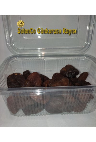 Selenco Malatya Günkurusu Kayısı 500 gr