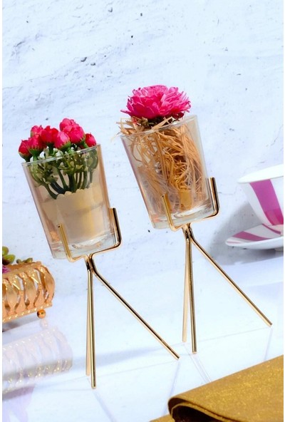 HCRBLT 2'li Lüx Gold Metal Ayaklı Cam Saksı Mumluk