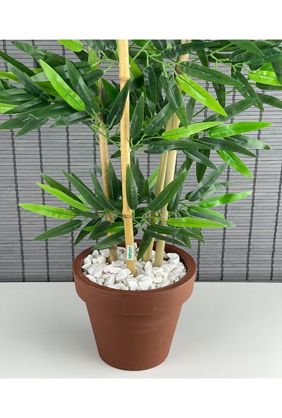 Bahçem Yoğun Yapraklı Dekoratif Bambu Ağacı Fulya Saksılı 4 Gövde 110 cm Bahçem Yoğun Yapraklı Dekoratif Bambu Ağacı Fulya Saksılı 4 Gövde 110 cm