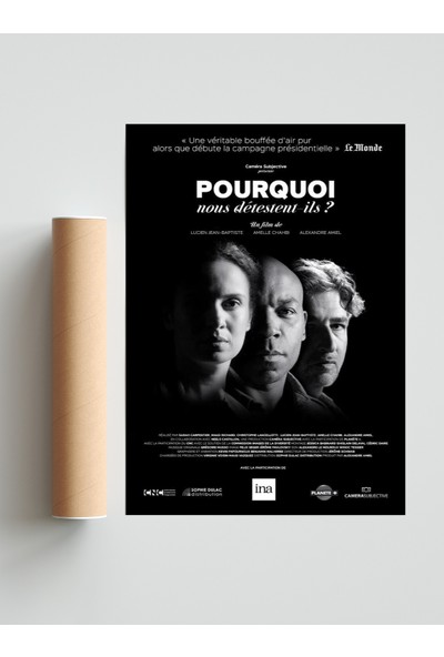 Fizello Pourquoi Nous Détestent-Ils ? Fransızca Poster