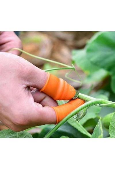 Meyve Sebze Ayıklama Soyma Parmak Koruyucu Meyve Sebze Ayıklama Soyma Parmak Koruyucu