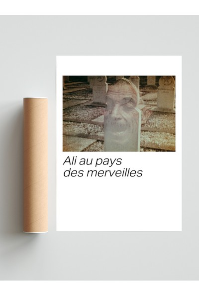 Fizello Ali Au Pays Des Merveilles Fransızca Poster Fizello Ali Au Pays Des Merveilles Fransızca Poster