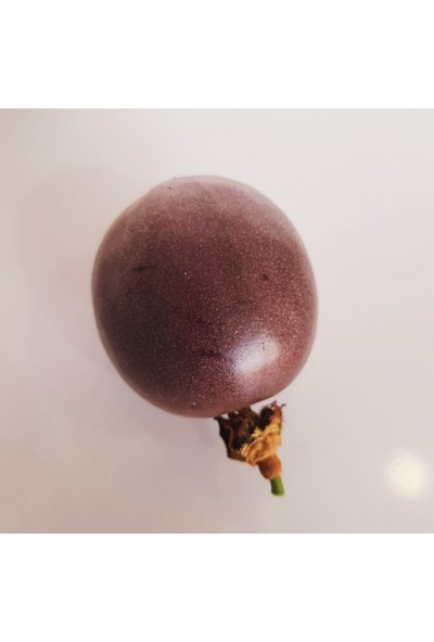 Tropik Meyvelerim Çarkıfelek Passiflora Meyvesi 1 Adet Tropik Meyvelerim Çarkıfelek Passiflora Meyvesi 1 Adet