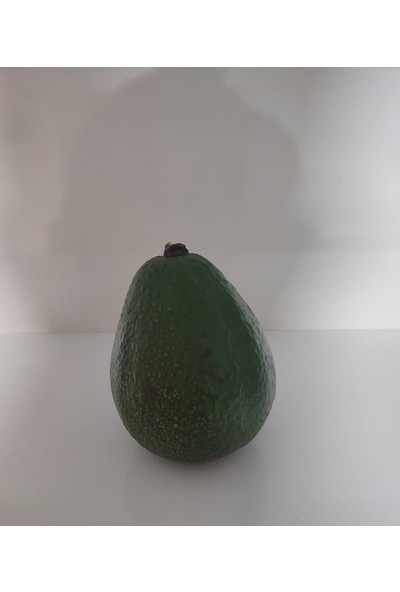 Avokado Xl 1 Adet