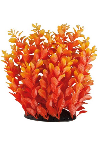 Xnews 097283 Plastik Bitki 25-28 Cm-Zoo