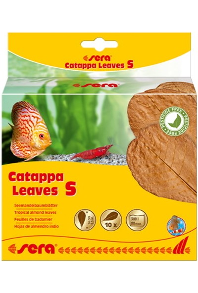 Sera Catappa Yaprağı S 14 cm (10 Adet)-Zoo
